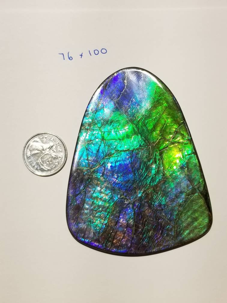 Very Large Collector piece purple/blue/green ammolite Gemstone 100x76m ...