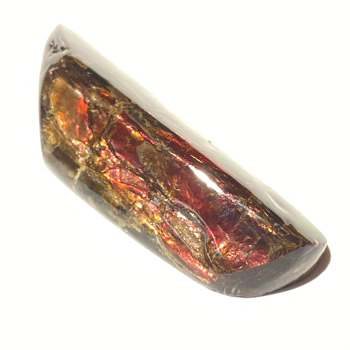 Pearlescent glowing red ammolite free form 37x20x10 mm – Natural Ammolite